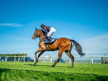 Whats On | Worcester Racecourse