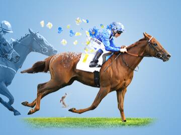 Worcester Racecourse