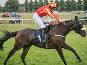 Worcester Racecourse | Worcester Races