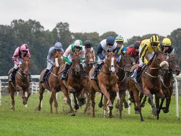 Whats On | Worcester Racecourse