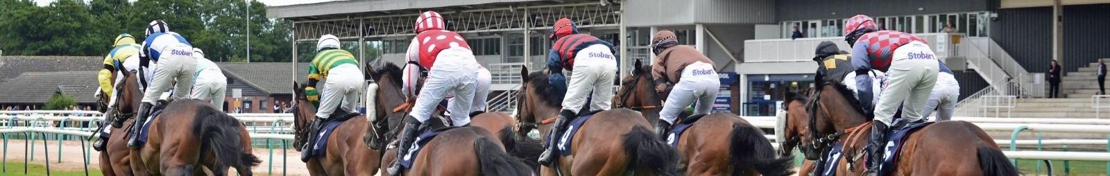 Raceday Experience | Worcester Racecourse